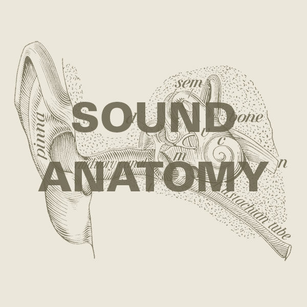 Sound Anatomy - Discomarket
